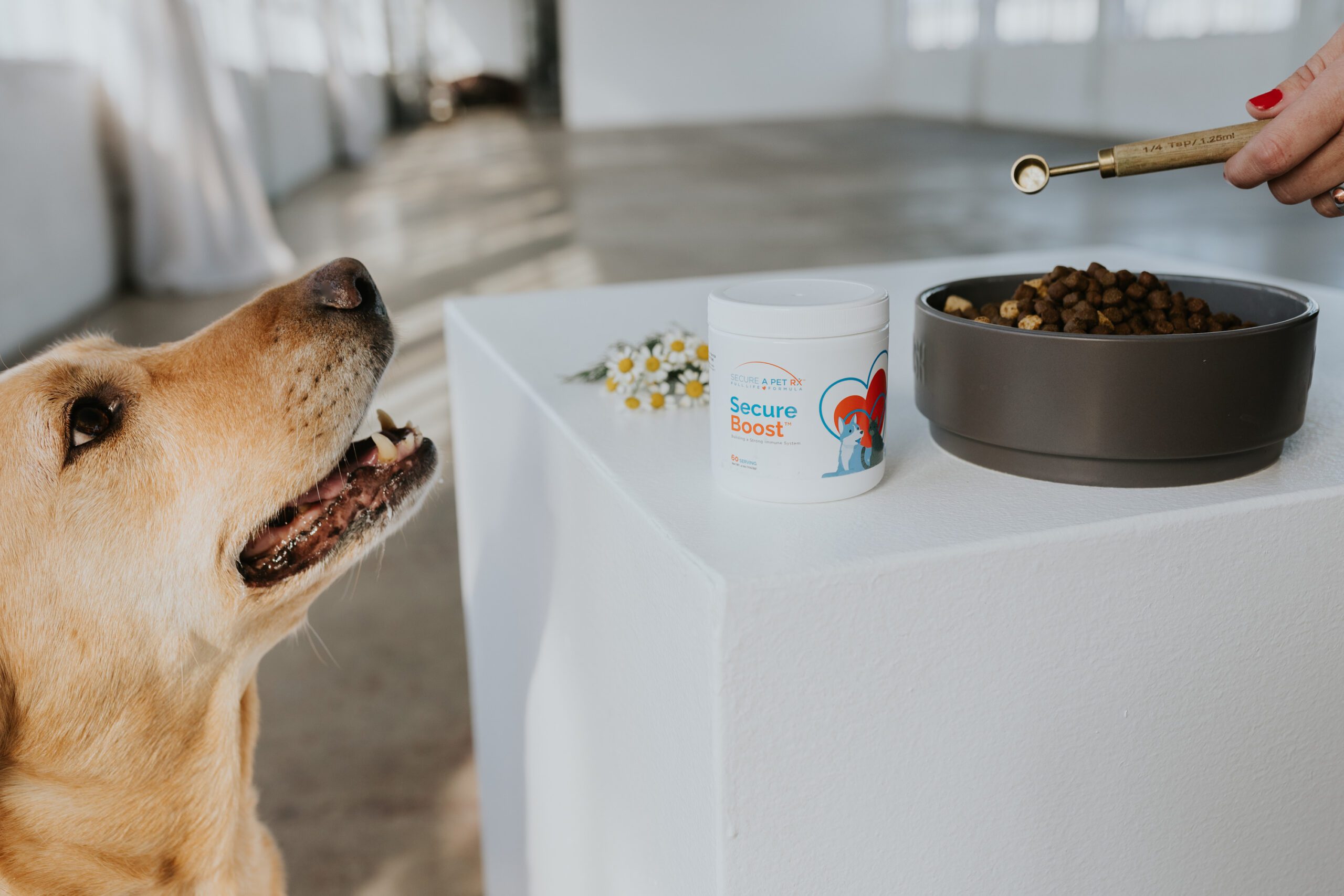 Health Tips - Secure a Pet RX